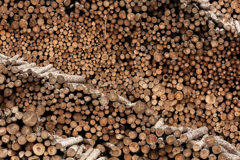 Finales De Madera Registrada Apilados Imagen de archivo - Imagen de ...