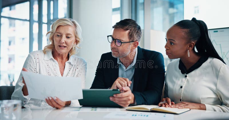 Financial, Office and Business People with Documents, Feedback and ...