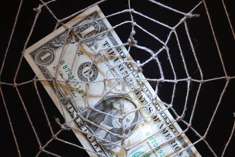 Spider Web and dollar stock image. Image of black, trapped - 11490893