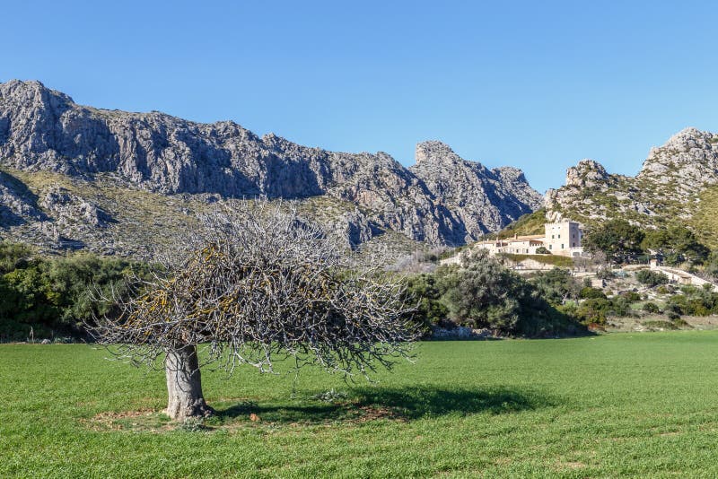 Finca Boquer Et Cavall Bernat Ridge Photo stock - Image du arête ...