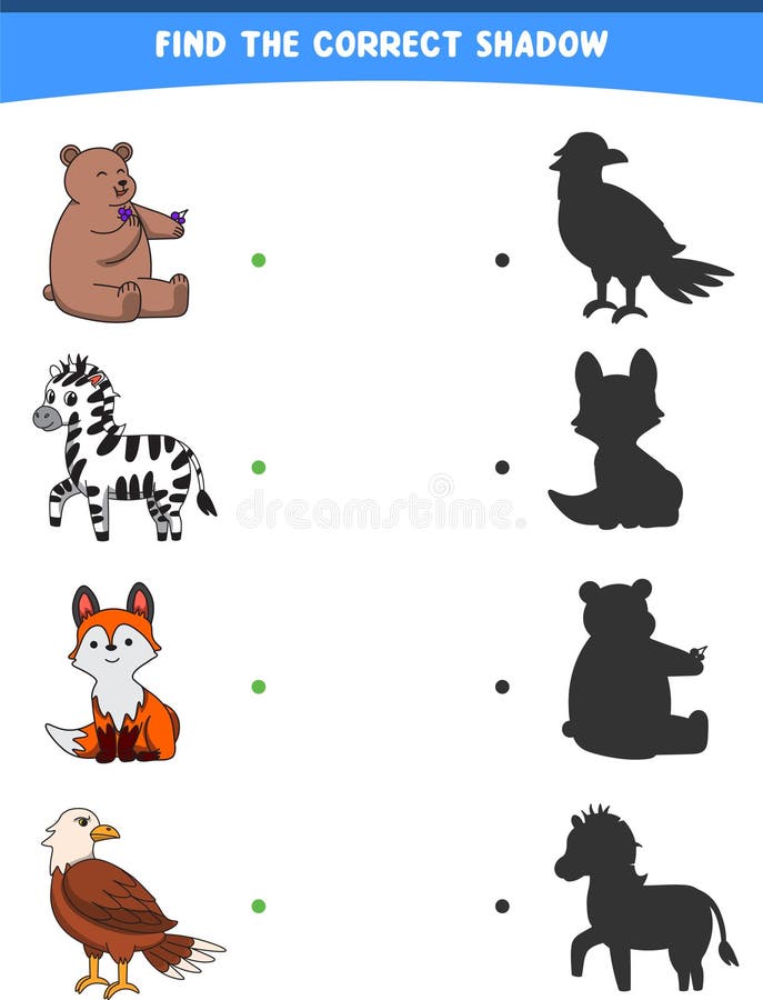 Vector Illustration Finding the Correct Shadow Wild Animals Ostrich Deer Turtle Koala Stock ...