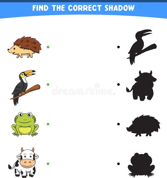 Vector Illustration Finding the Correct Shadow Wild Animals Hedgehog ...