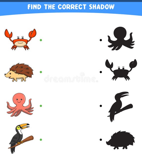 Vector Illustration Finding the Correct Shadow Wild Animals Crab ...