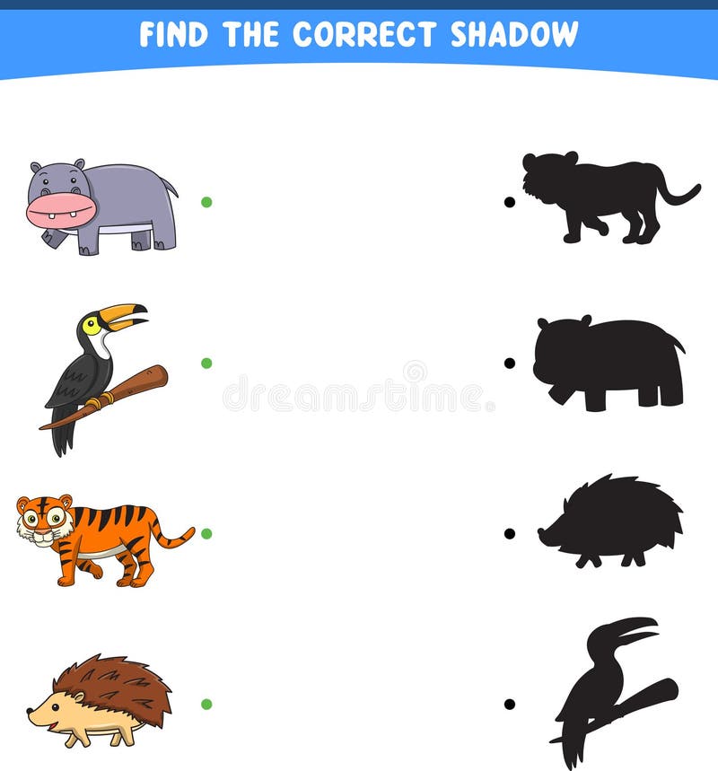 Vector Illustration Finding the Correct Shadow Wild Animals ...