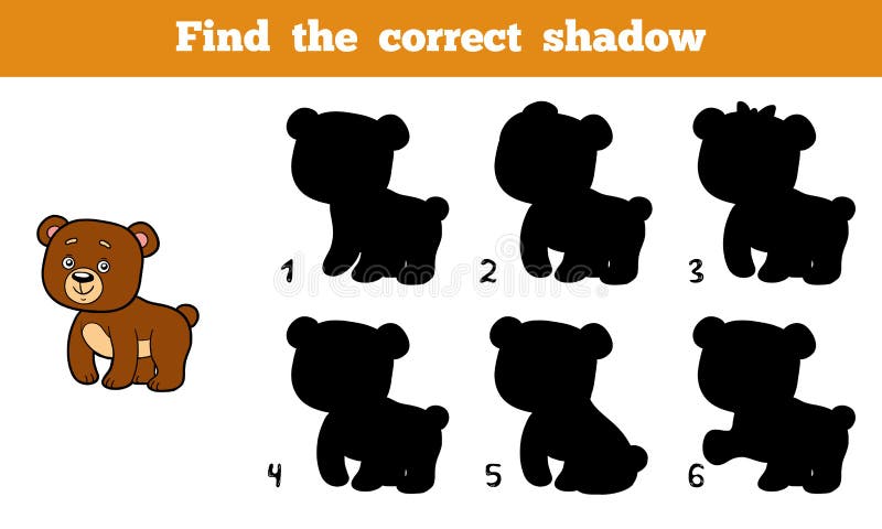 Find the Correct Shadow (bear) Stock Vector - Illustration of activity ...