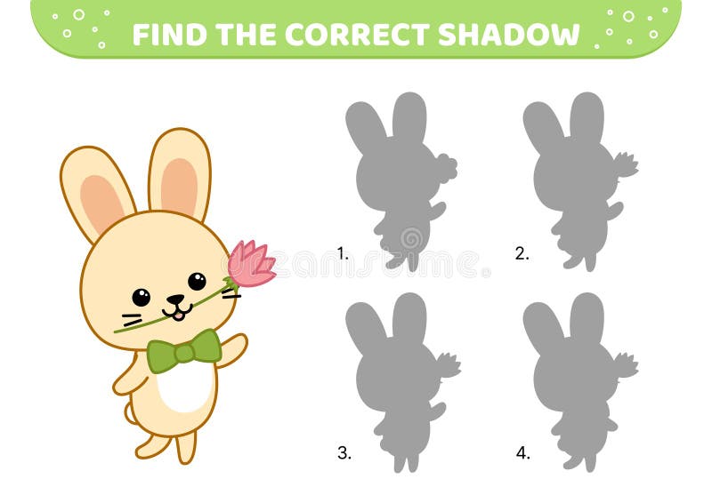 Find the Correct Shadow. Boy Rabbit with Flower. Shadow Matching Game ...