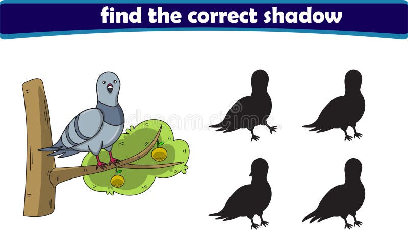 Funny Cartoon Dove. Find the Correct Shadow Stock Vector - Illustration ...