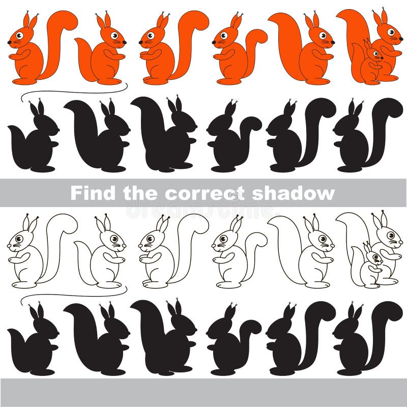 Find Correct Shadow for Each Object. Stock Vector - Illustration of ...