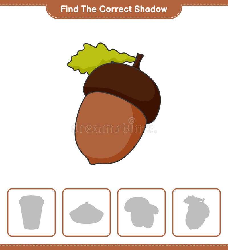 Find the Correct Shadow. Find and Match the Correct Shadow of Acorn ...