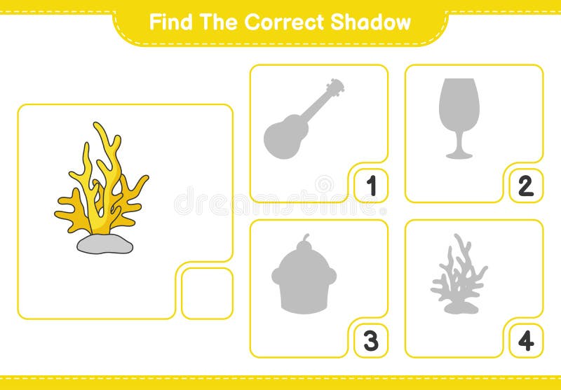 Find the Correct Shadow. Find and Match the Correct Shadow of Coral ...