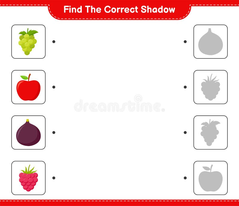 Find the Correct Shadow. Find and Match the Correct Shadow of Fruits ...