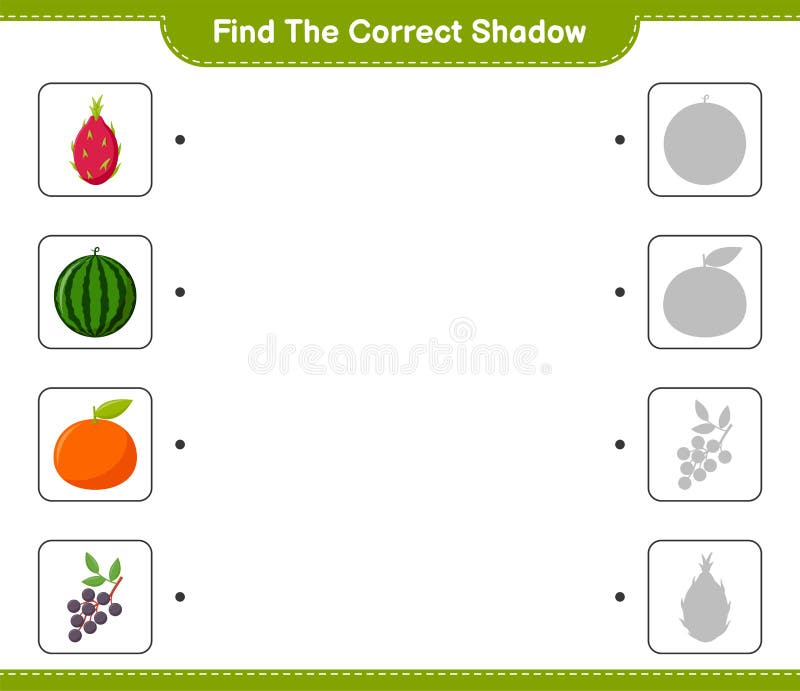 Find the Correct Shadow. Find and Match the Correct Shadow of Fruits ...