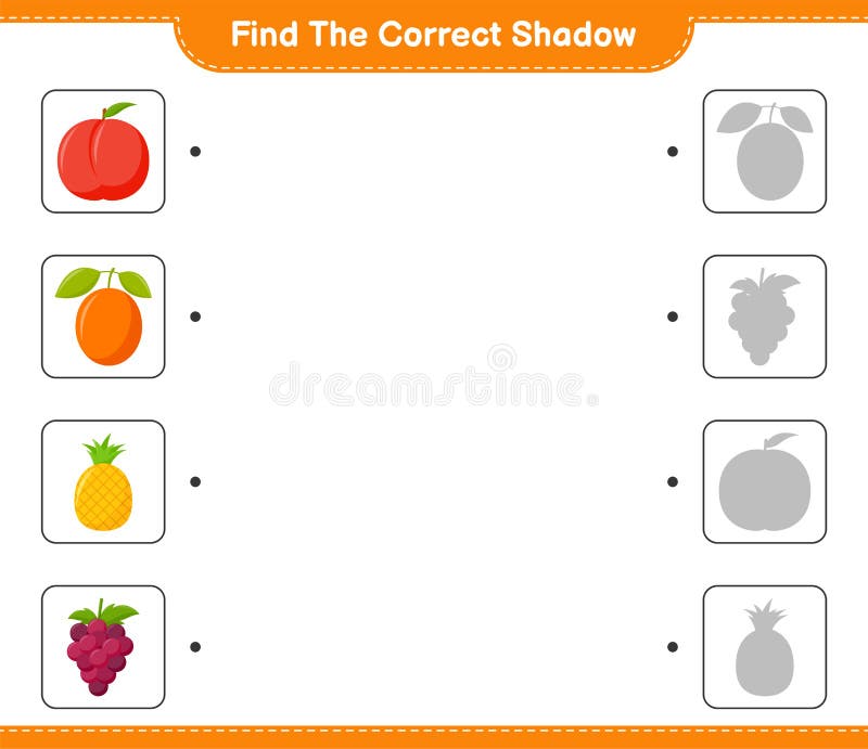 Find the Correct Shadow. Find and Match the Correct Shadow of Fruits ...