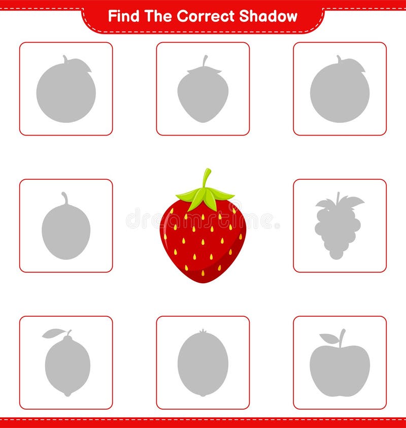 Find the Correct Shadow. Find and Match the Correct Shadow of ...