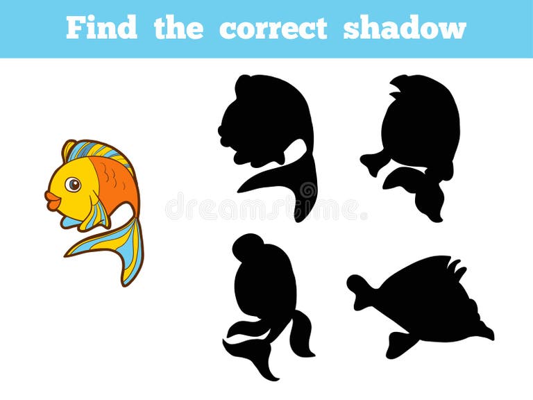 Find the Correct Shadow (fish) Stock Vector - Illustration of ...