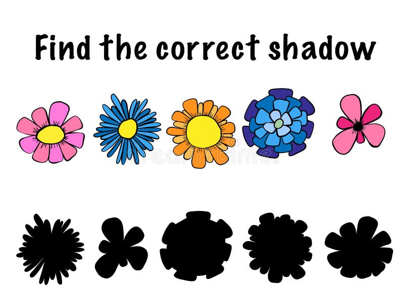 Find the Correct Shadow with Flowers. Flowers Set Stock Vector ...
