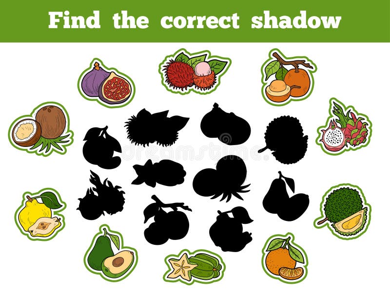 Find the Correct Shadow (fruits) Stock Vector - Illustration of ...