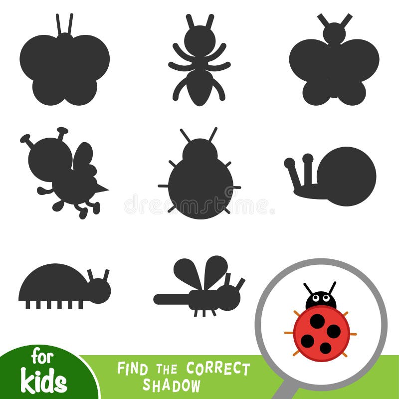 Find the Correct Shadow, Game for Children, Ladybug Stock Vector ...