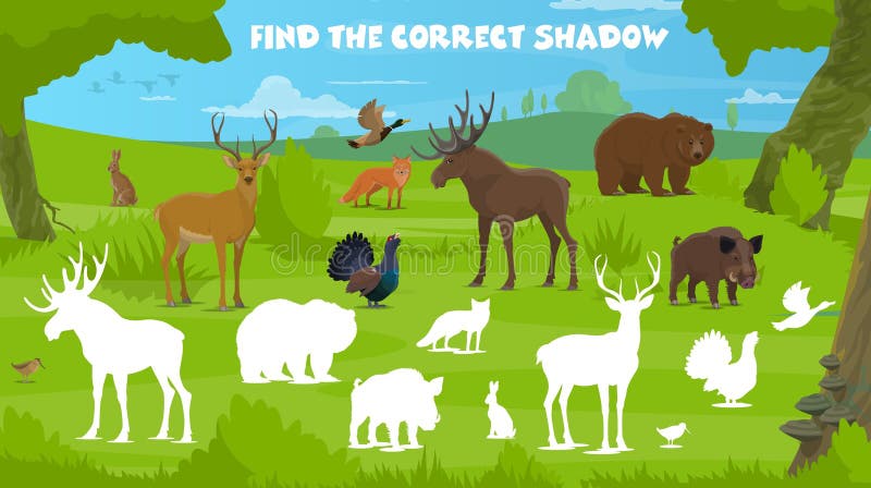 Find Correct Shadow Game, Forest Hunting Animals Stock Vector ...