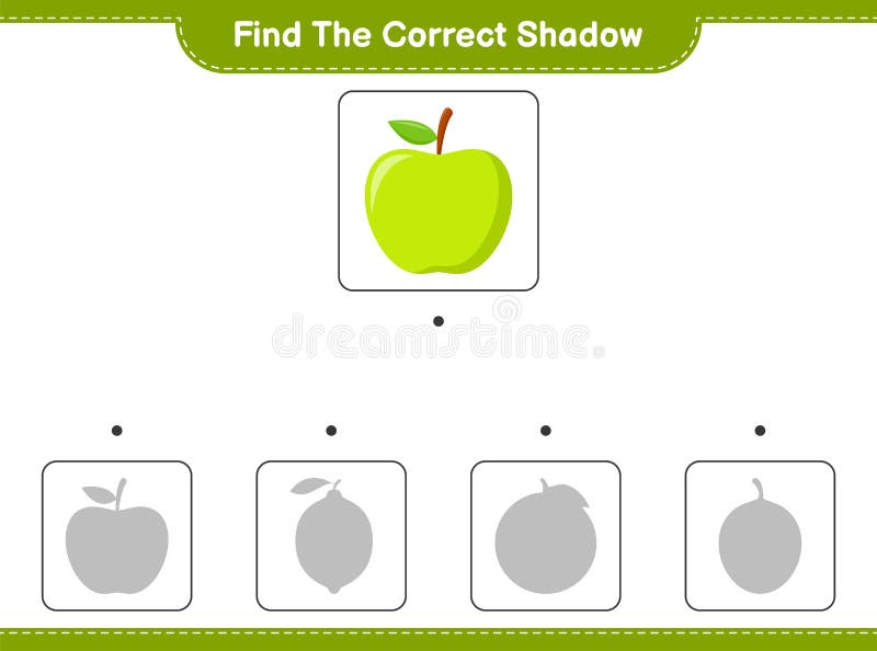 Find the Correct Shadow. Find and Match the Correct Shadow of Apple ...