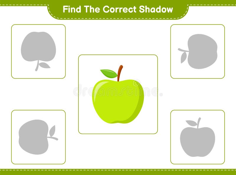 Find the Correct Shadow. Find and Match the Correct Shadow of Apple ...