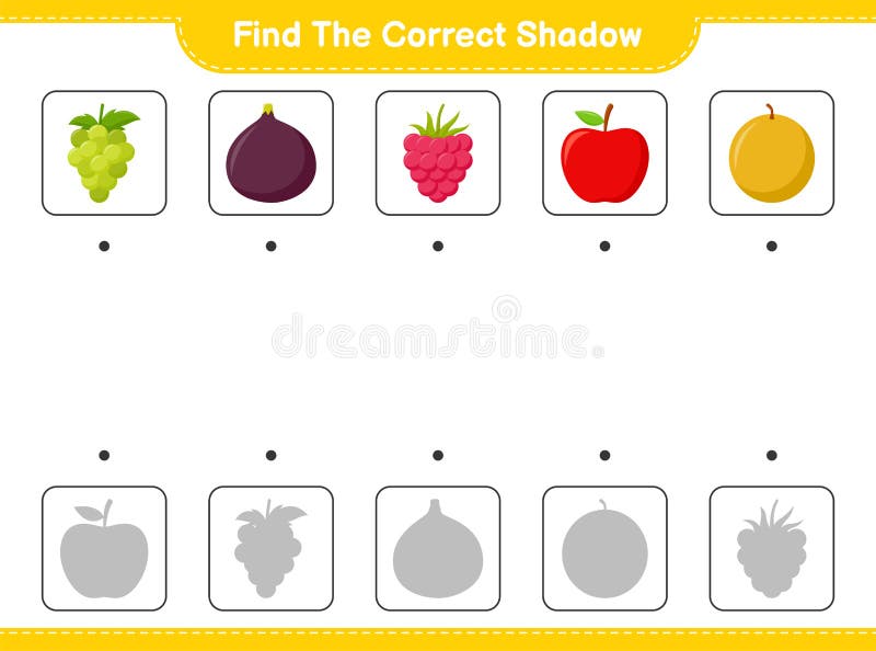 Find the Correct Shadow. Find and Match the Correct Shadow of Fruits ...
