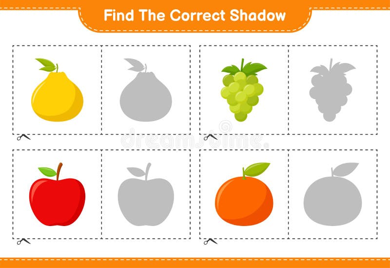 Find the Correct Shadow. Find and Match the Correct Shadow of Fruits ...