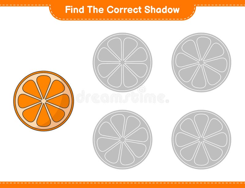 Find the Correct Shadow. Find and Match the Correct Shadow of Orange ...