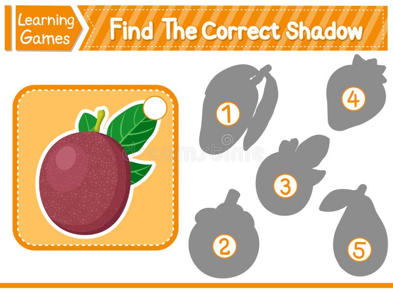 Find the Correct Shadow Find and Match the Correct Shadow of Orange ...