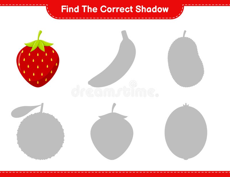 Find the Correct Shadow. Find and Match the Correct Shadow of ...