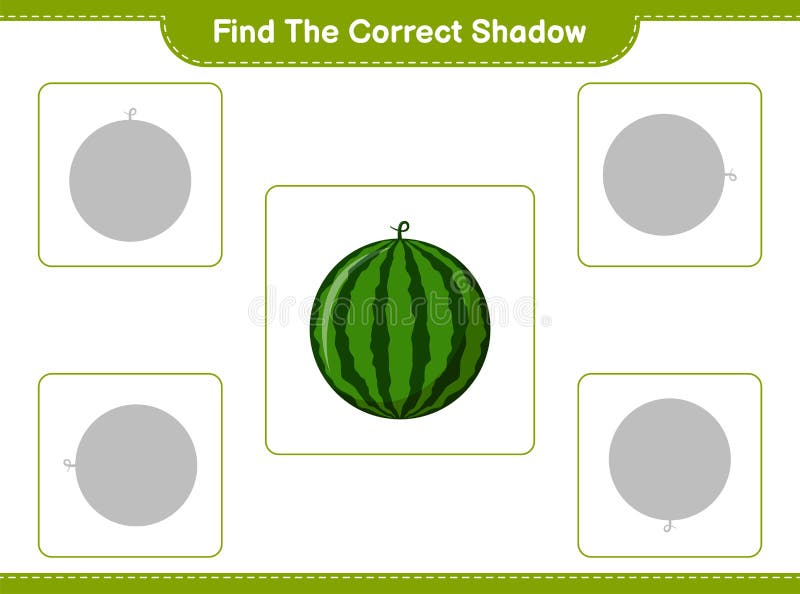 Find the Correct Shadow. Find and Match the Correct Shadow of ...