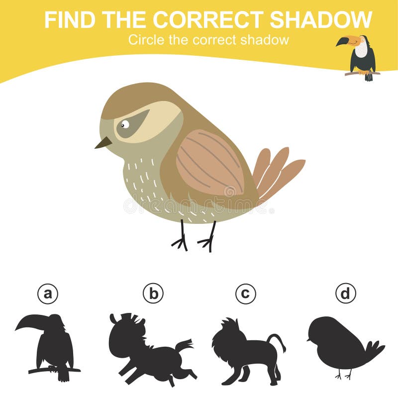 Find the Correct Shadow of the Xenops. Matching Animal Shadow Game for ...