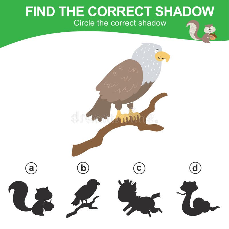 Find the Correct Shadow of the Eagle. Matching Animal Shadow Game for ...
