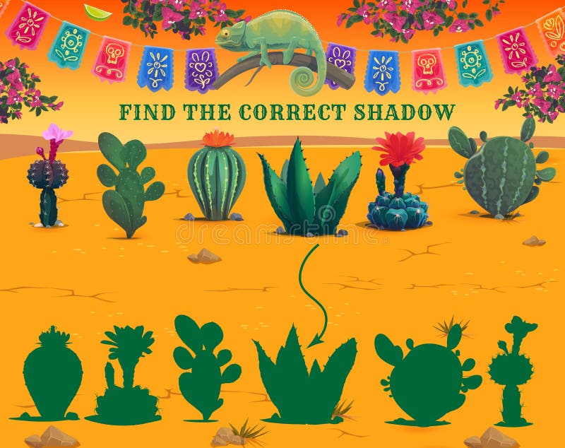 Find Correct Shadow of Mexican Cactus, Kids Game Stock Vector ... Find Correct Shadow of Mexican Cactus, Kids Game Stock Vector ...