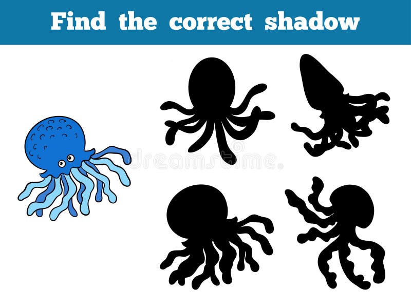 Find the Correct Shadow (octopus) Stock Vector - Illustration of ...