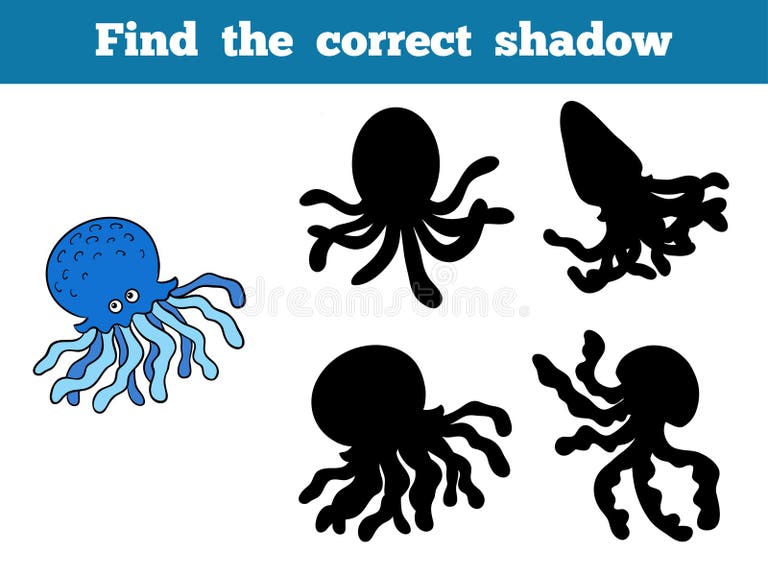 Find the Correct Shadow (octopus) Stock Vector - Illustration of ...