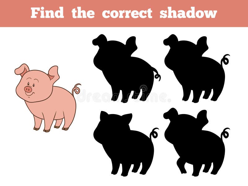 Find the Correct Shadow (pig) Stock Vector - Illustration of education ...
