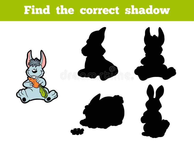 Find the Correct Shadow (rabbit) Stock Vector - Illustration of answer ...