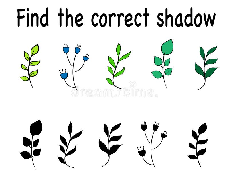 Find Correct Shadow. Set of Plants with the Words Find the Correct ...