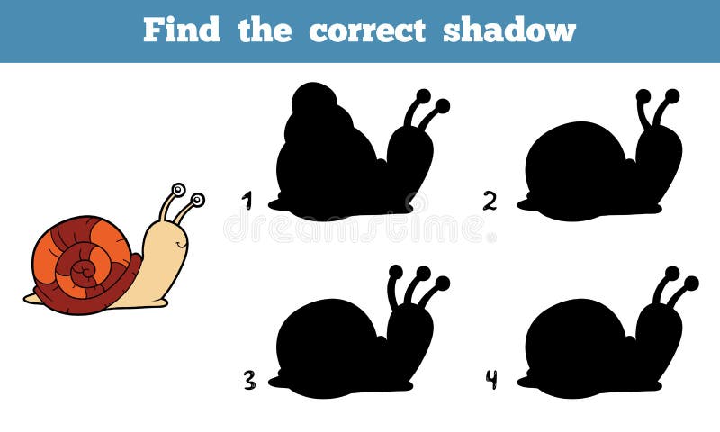 Find the Correct Shadow (snail) Stock Vector - Illustration of answer ...