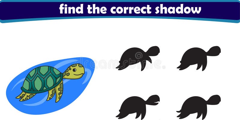 Funny Cartoon Turtle. Find the Correct Shadow Stock Vector ...