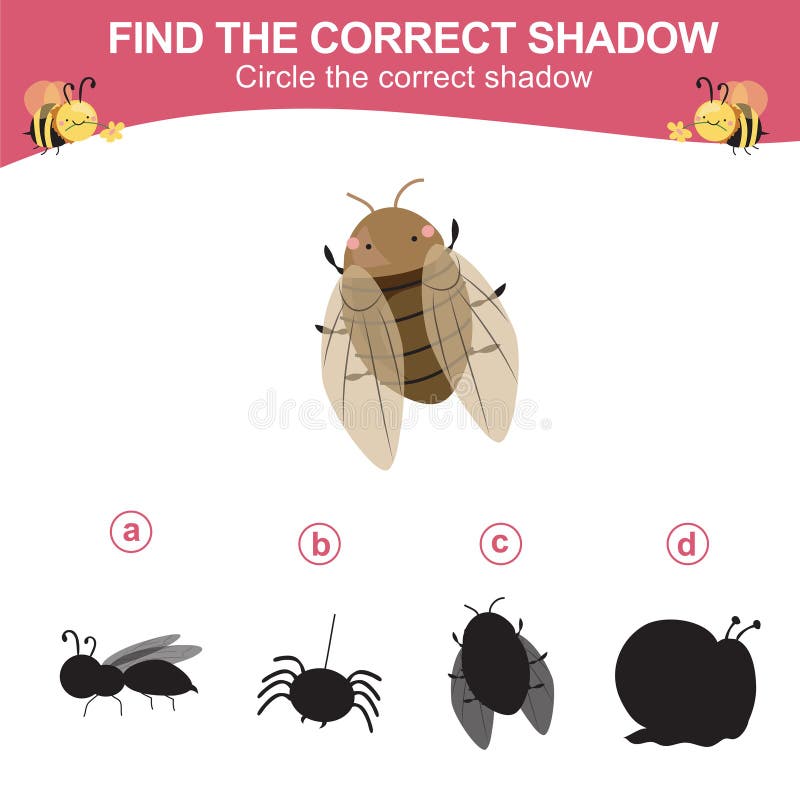 Find the Correct Shadow. Worksheet for Kid Stock Vector - Illustration ...