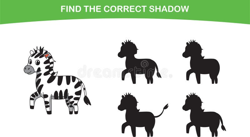 Finding the Correct Zebra Shadow. Find the Correct Shadow Stock Vector ...