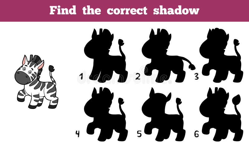 Find the Correct Shadow (zebra) Stock Vector - Illustration of answer ...