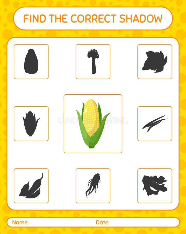 Preschool shadows task stock vector. Illustration of diagram - 61049319