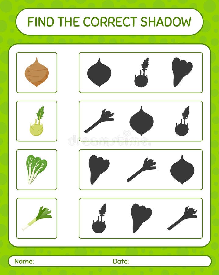 Find the Correct Shadows Game with Paper Plane. Worksheet for Preschool ...