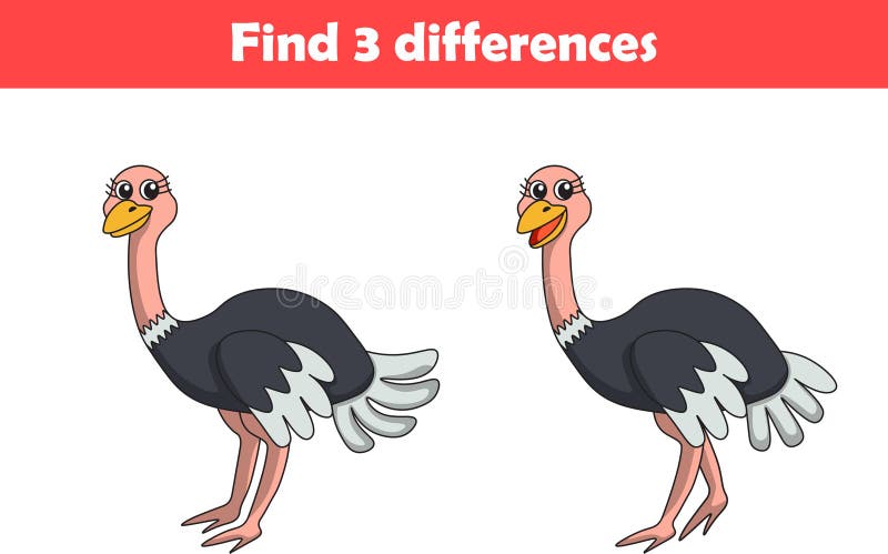 Education Game for Children Find Three Differences between Two Ostrich ...