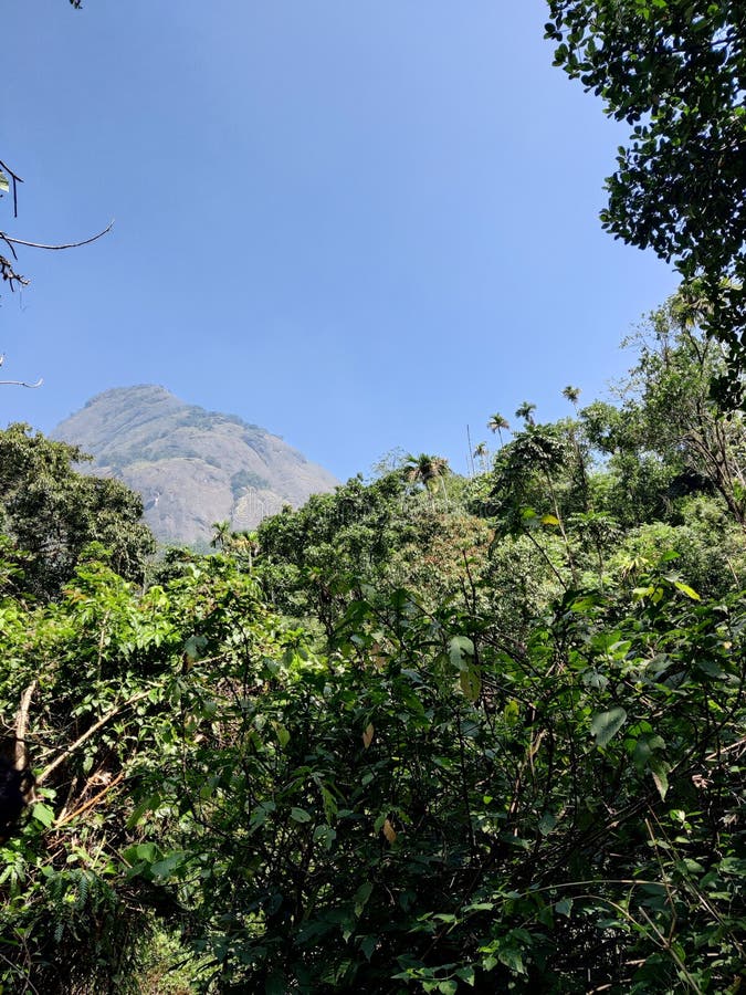 To unpolluted air stock image. Image of nature, unpolluted - 211090001