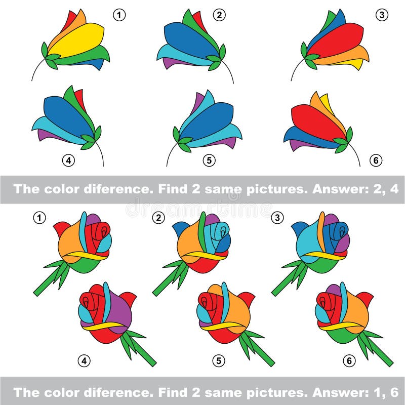 Find Hidden Pair of Bluebells and Roses Stock Vector - Illustration of ...