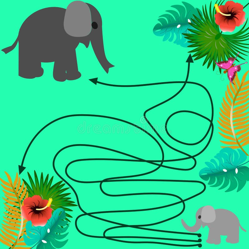 Find the Right Path between the Baby Elephant and the Mother Elephant ...